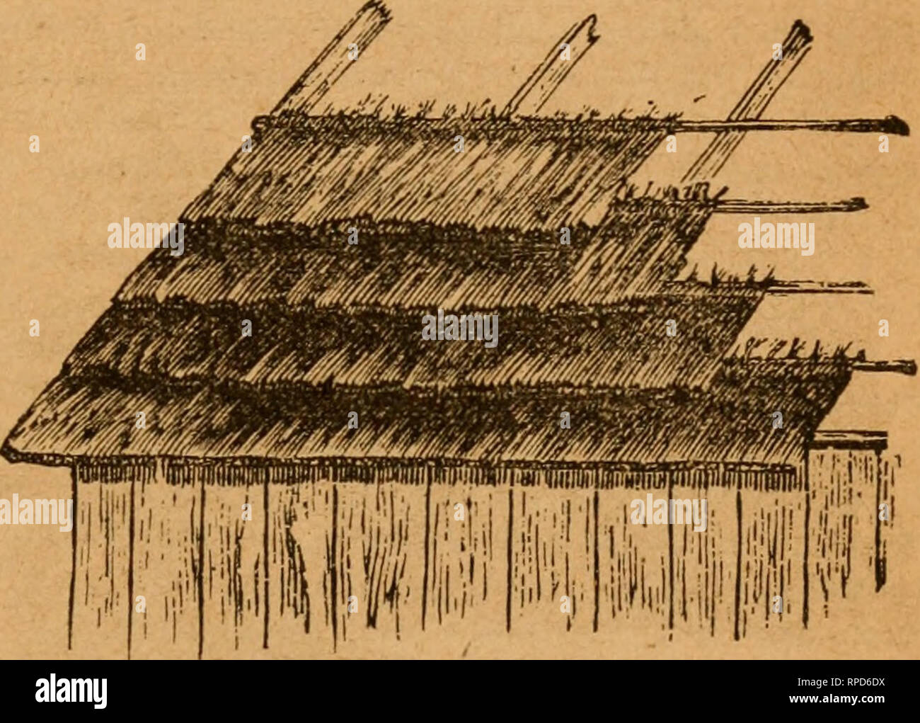 Five hole soil hi-res stock photography and images - Alamy