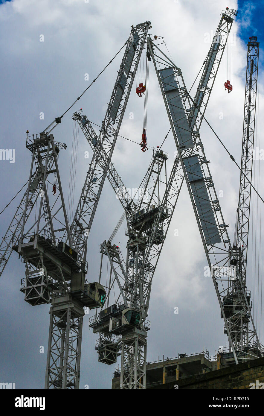 Family of tower cranes Stock Photo - Alamy