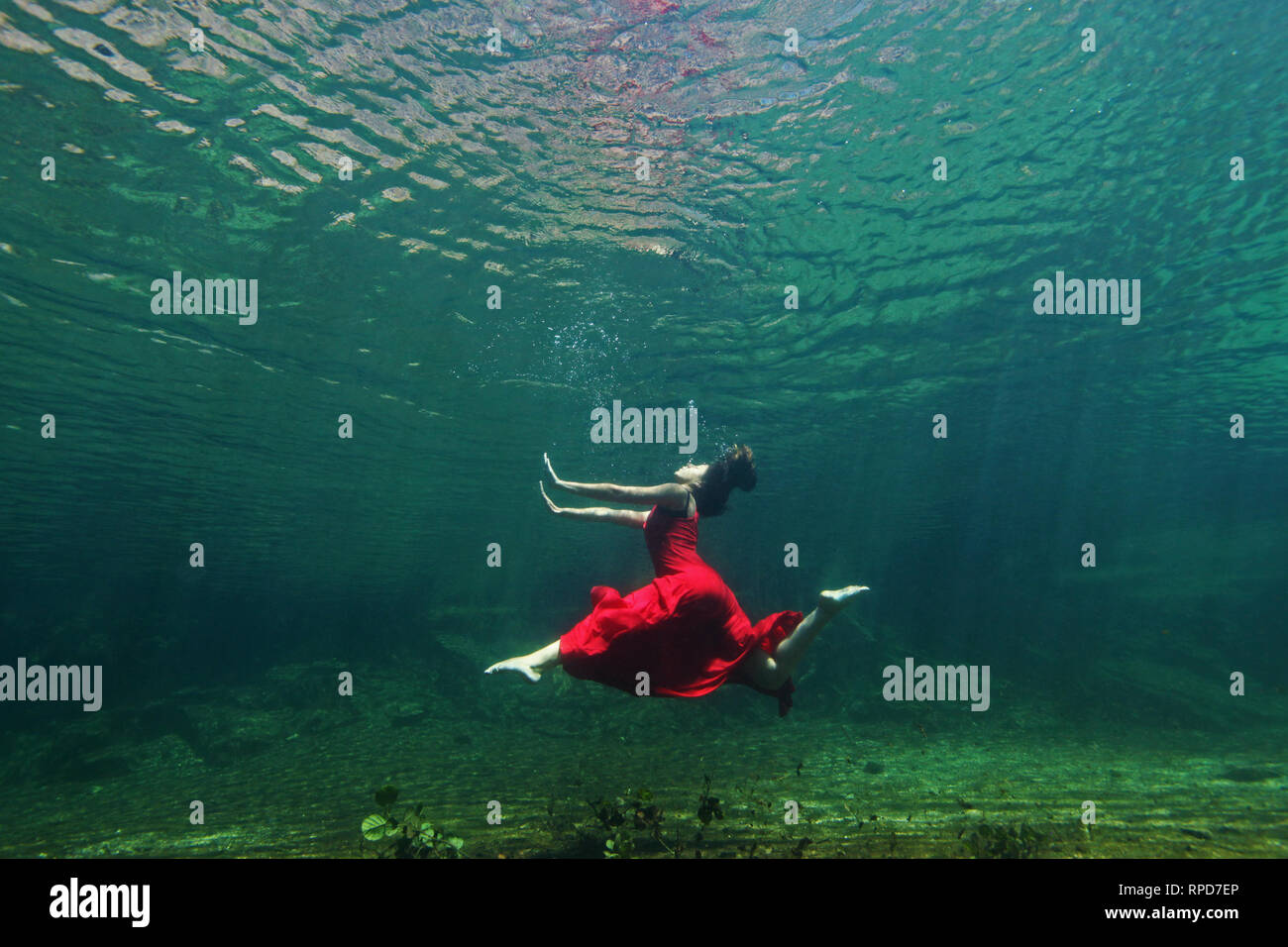 A female dancer dancing underwater near Verdelhos, Serra da Estrela ...