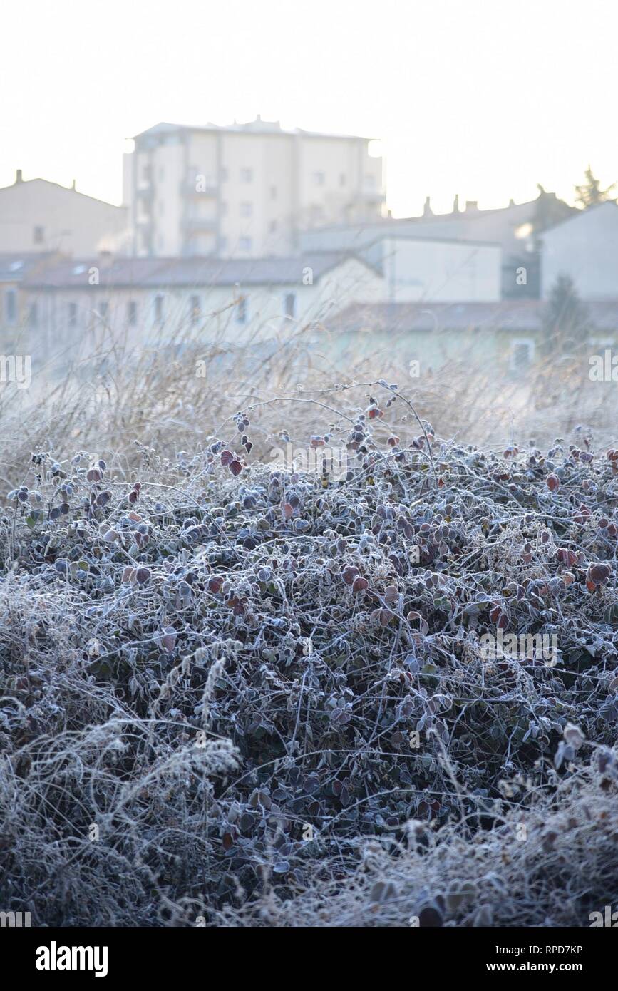 A general view of cold morning in Milan, Italy Where: Milan, Italy When ...