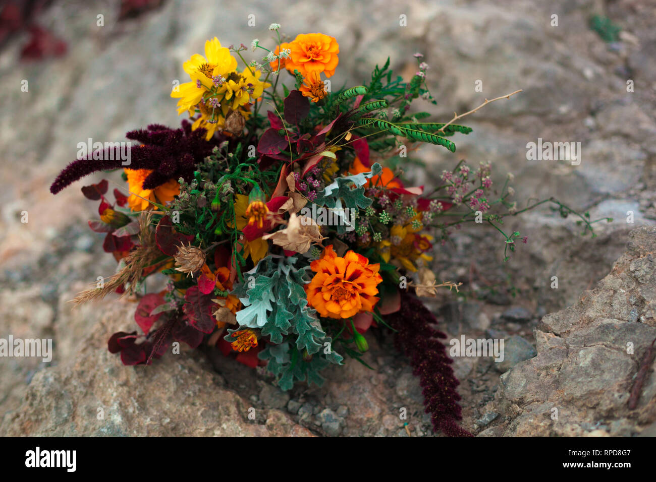 Aztec wedding ceremony hi-res stock photography and images - Alamy