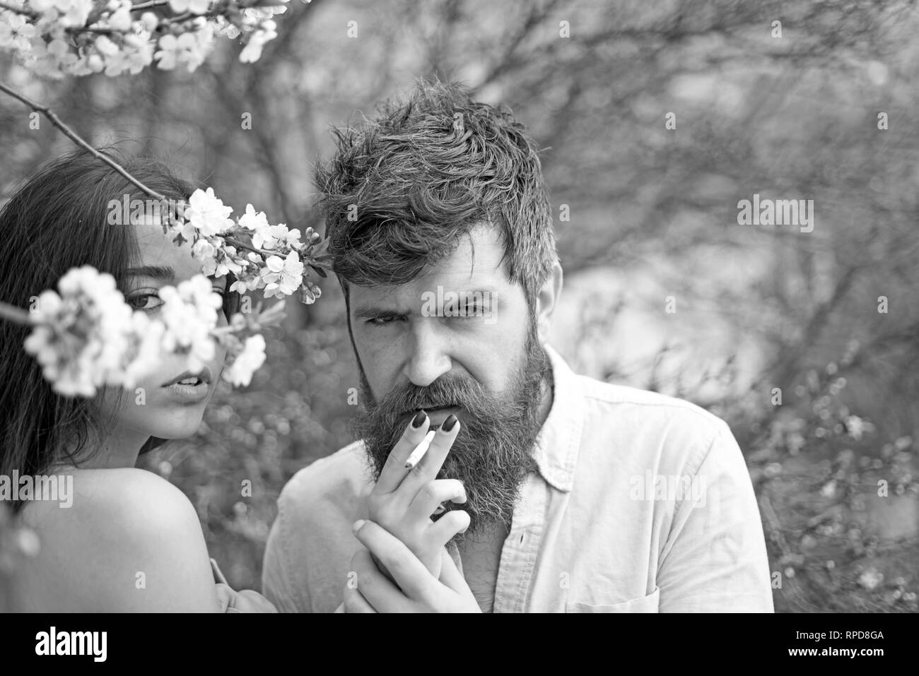 Smoke tree flower Black and White Stock Photos & Images - Alamy