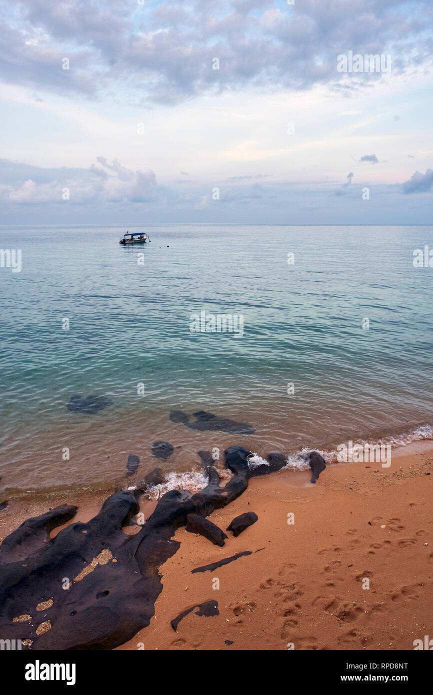 Panuba hi-res stock photography and images - Alamy