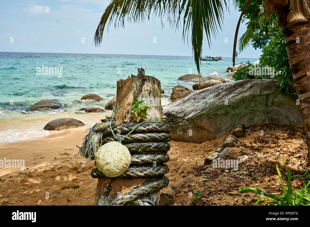 Panuba hi-res stock photography and images - Alamy