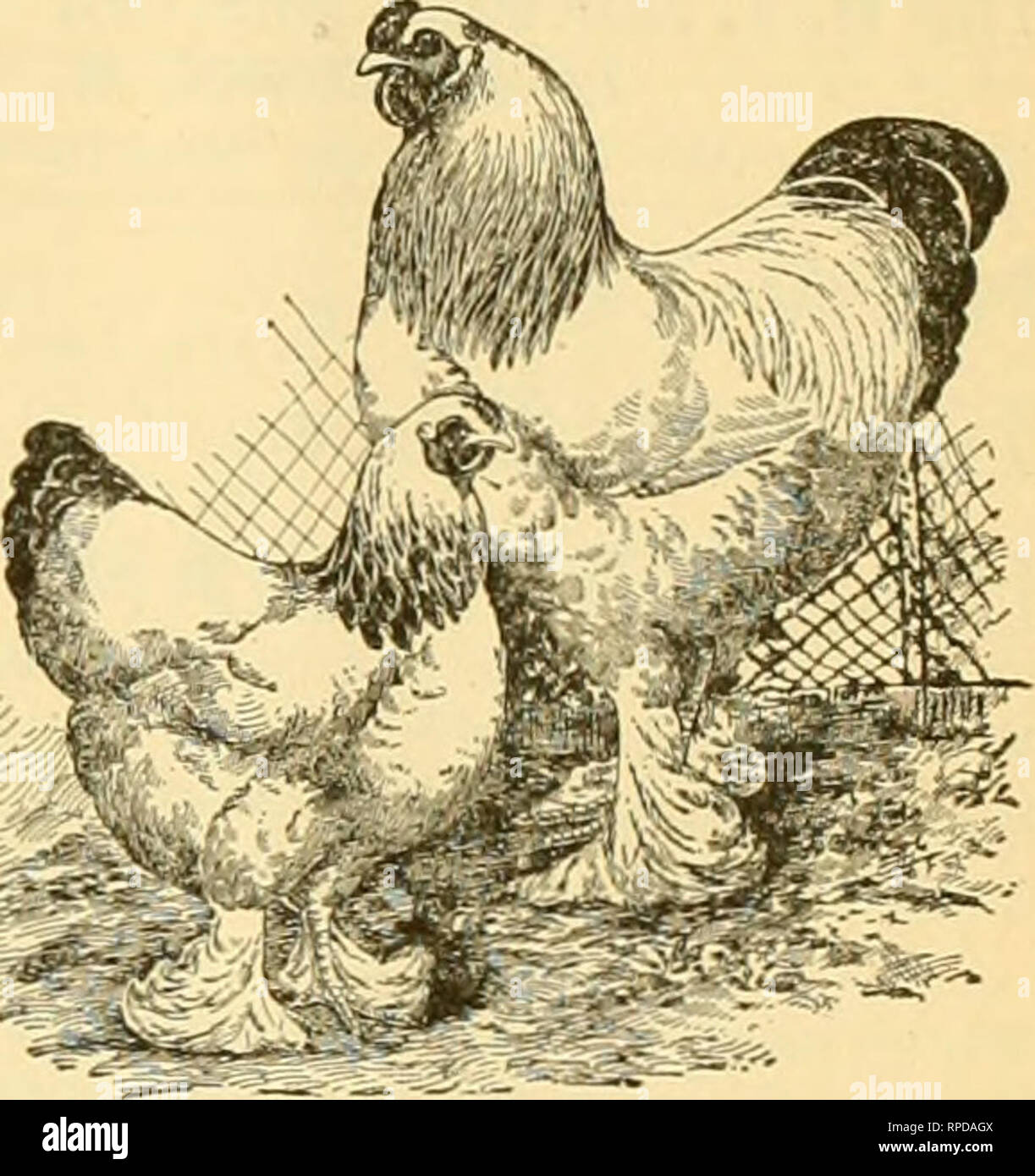 Bo luc loc hi-res stock photography and images - Alamy