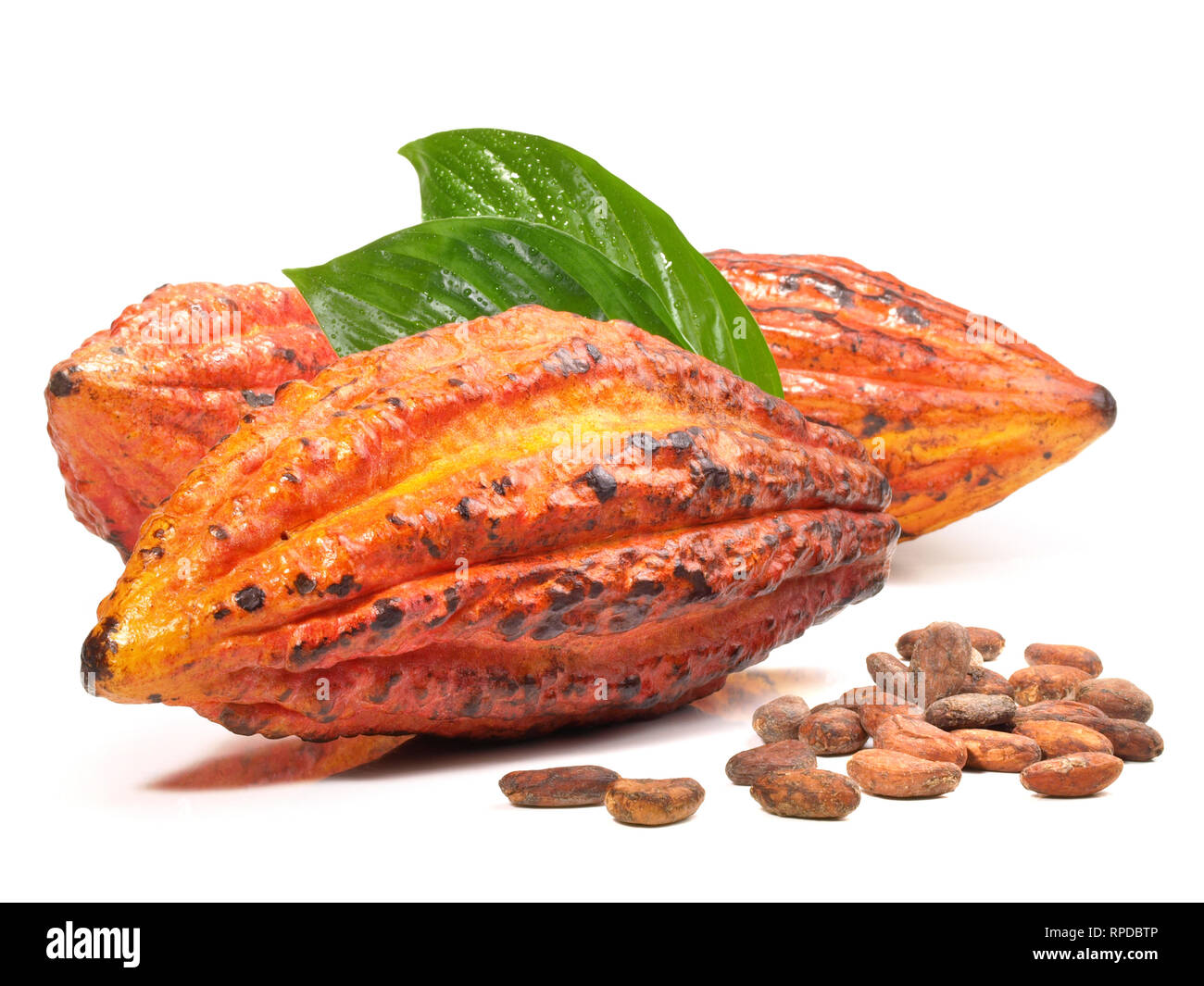 Orange cacao fruit hi-res stock photography and images - Alamy