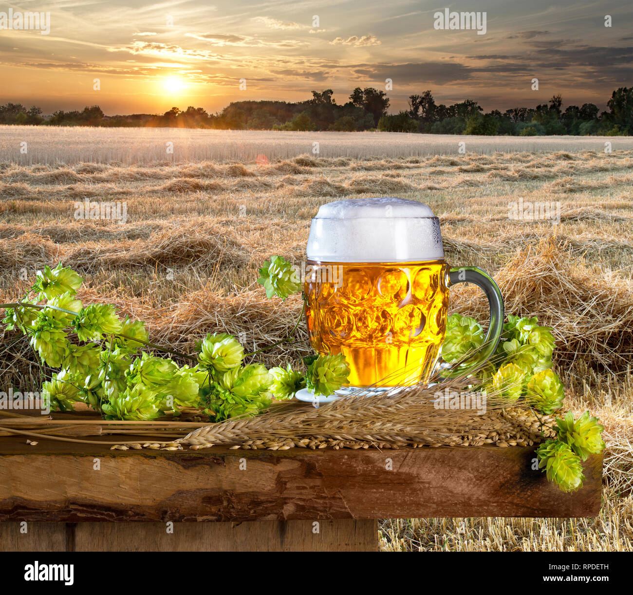 Glass of beer and raw material for beer production Stock Photo - Alamy