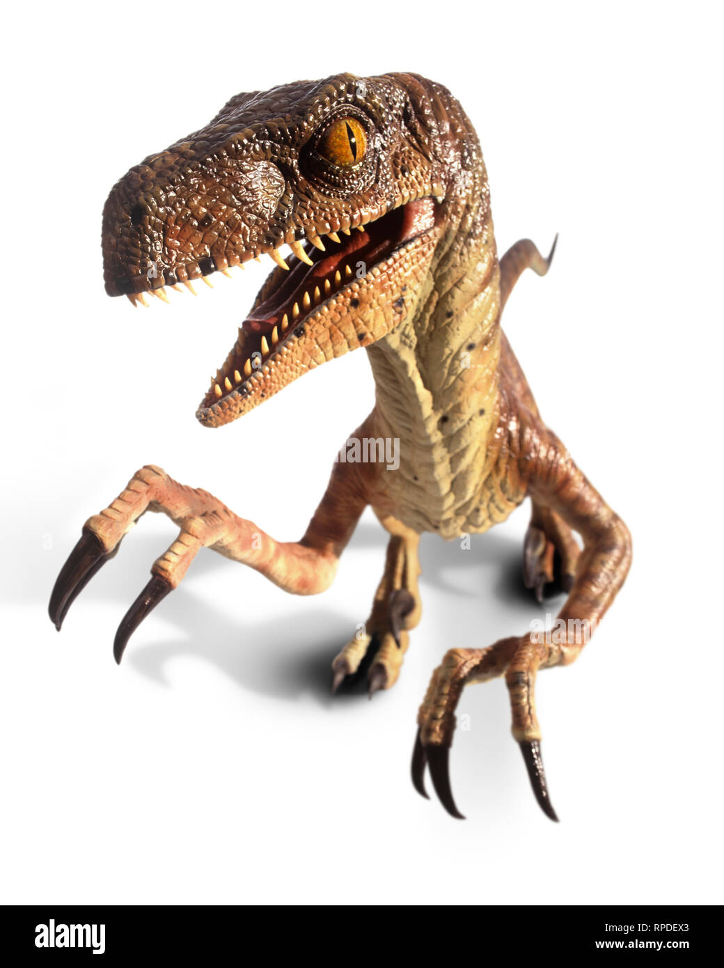 Velociraptor hi-res stock photography and images - Alamy