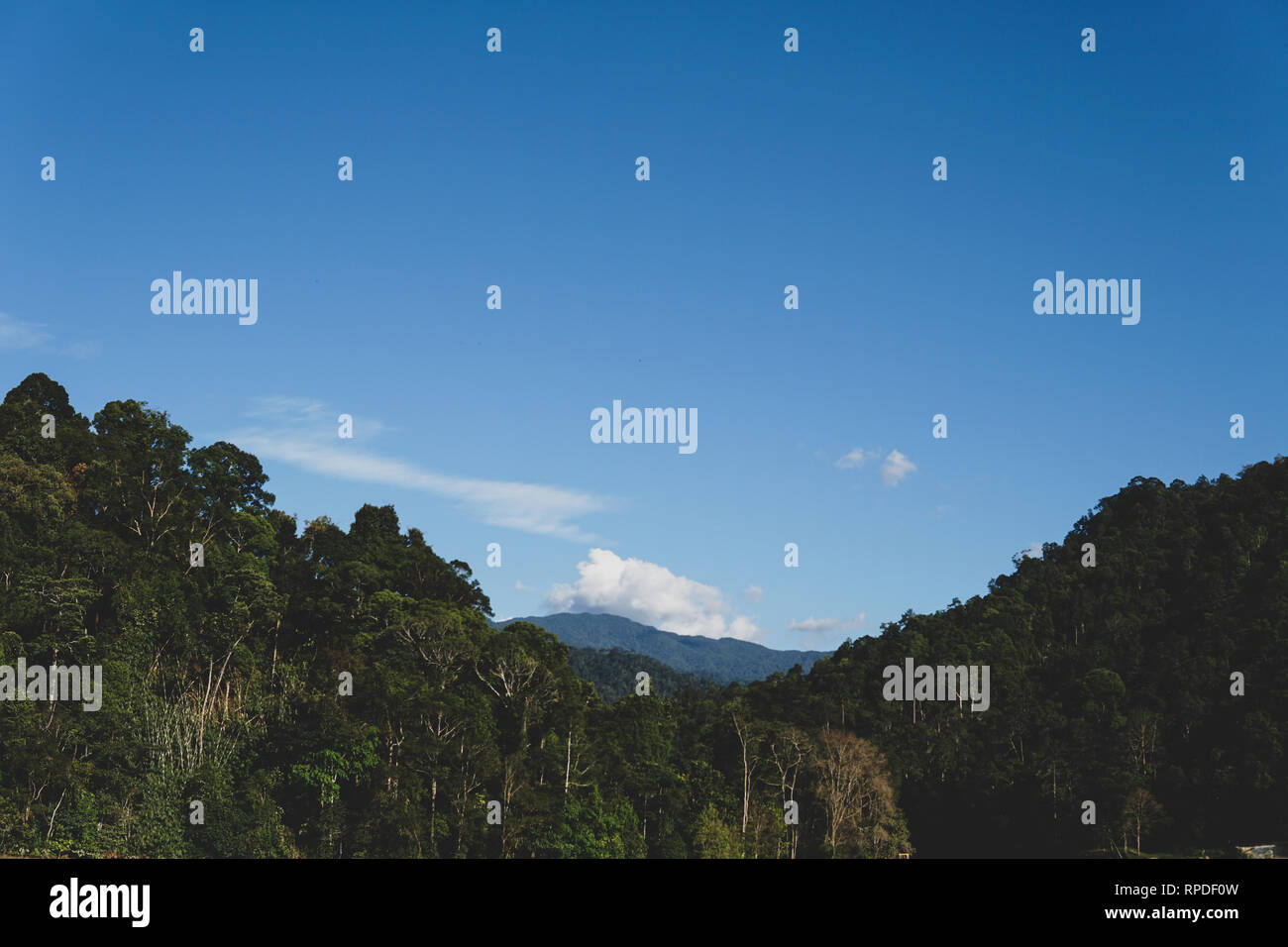 Malaysia sun orange tree cloud clouds hi-res stock photography and ... Malaysia sun orange tree cloud clouds hi-res stock photography and ...