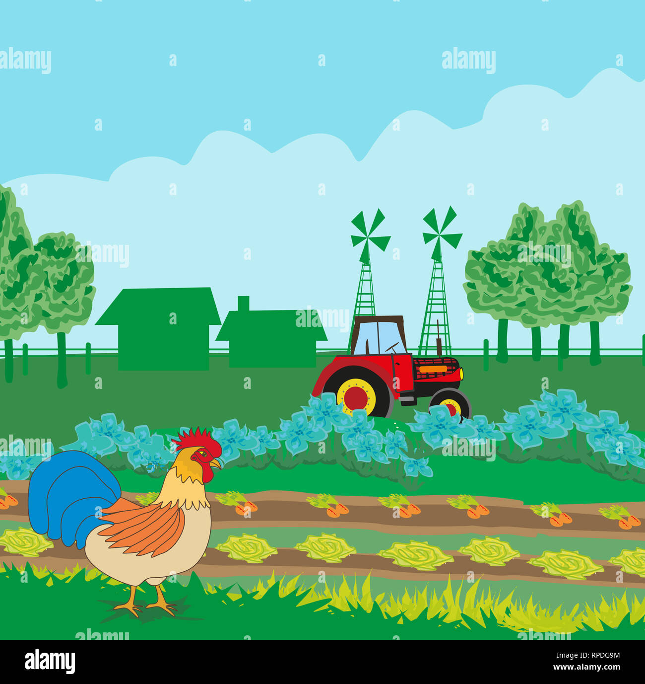 rural landscape with roster Stock Photo - Alamy