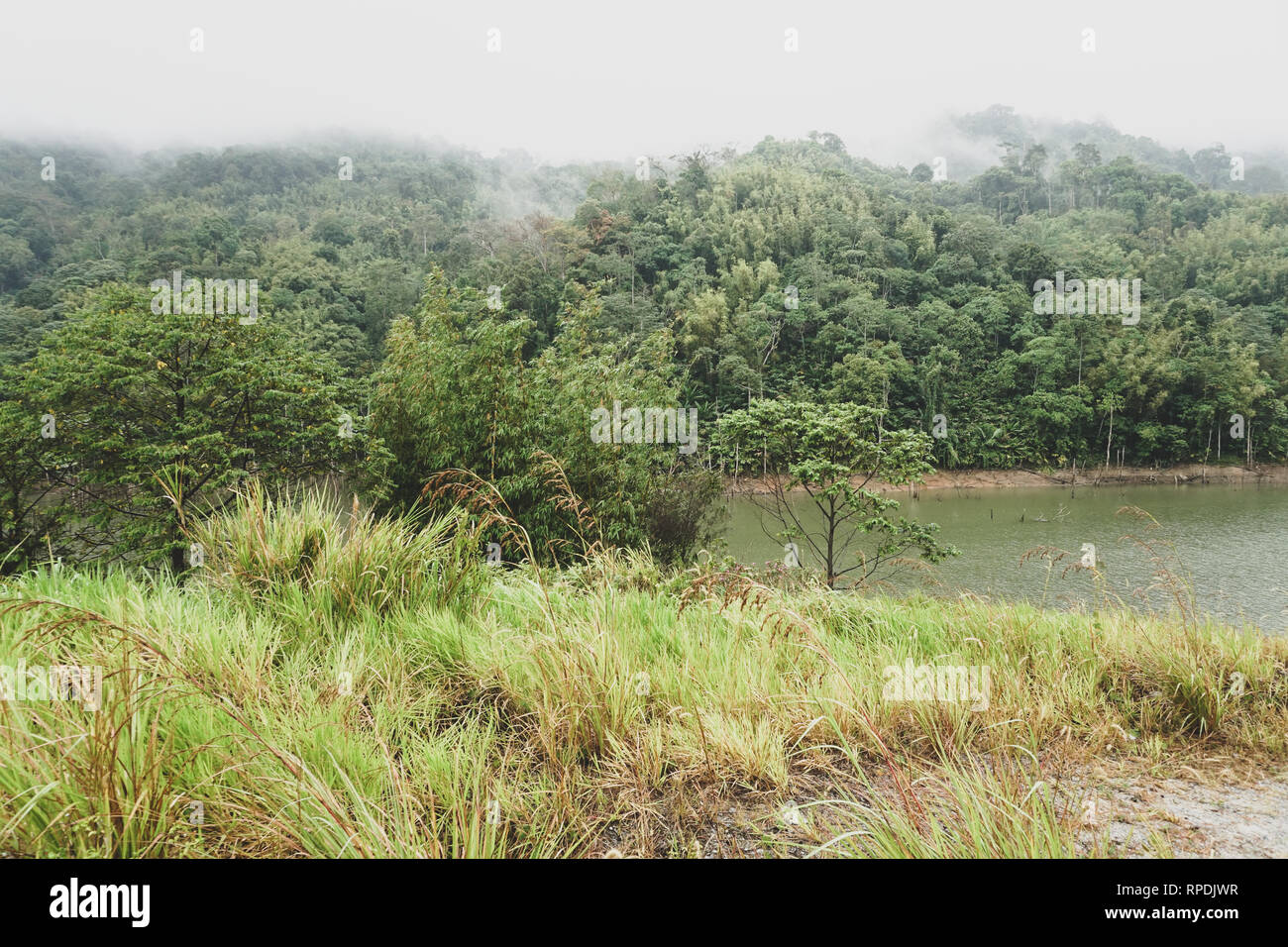 Hydroelectric power dam rainforest hi-res stock photography and images ...