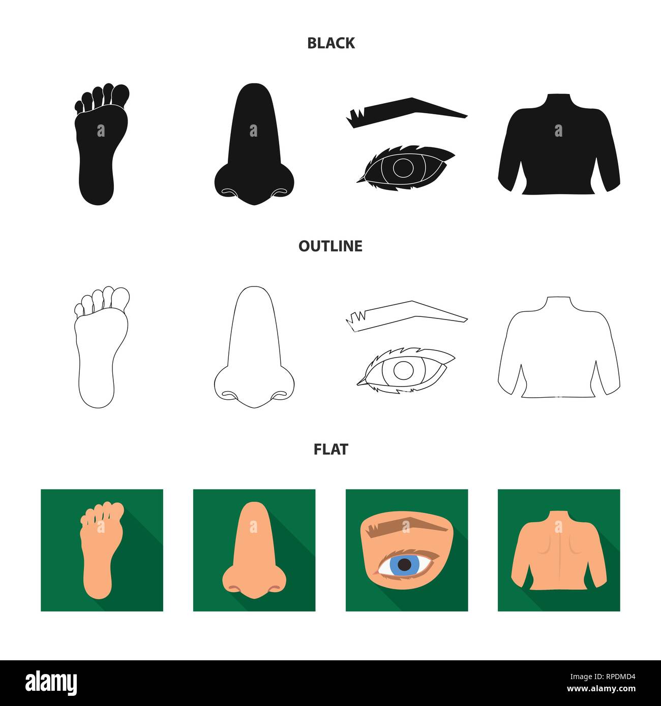 Vector illustration of body and part sign. Set of body and anatomy ...