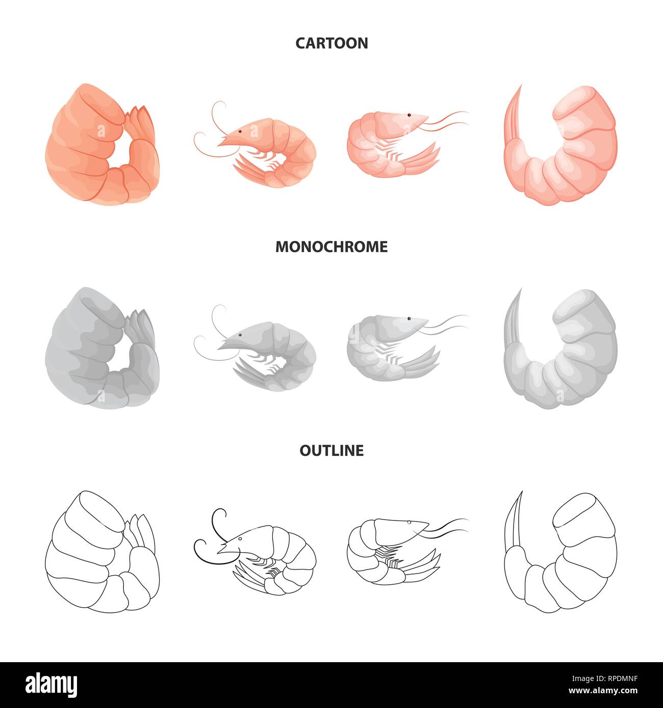 prawn,raw,creature,cooked,fresh,boiled,luxury,underwater,restaurant ...