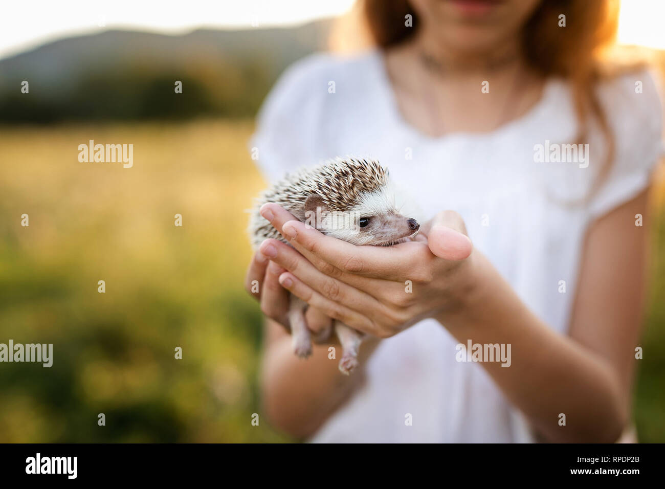 Woman scared hi hi-res stock photography and images - Alamy