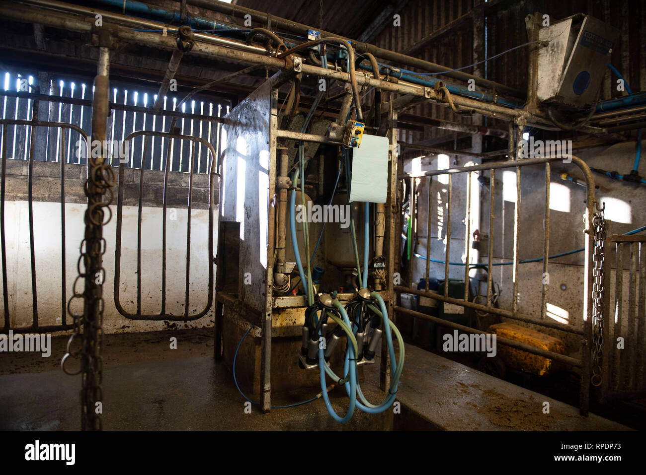 Milk parlour uk hi-res stock photography and images - Alamy