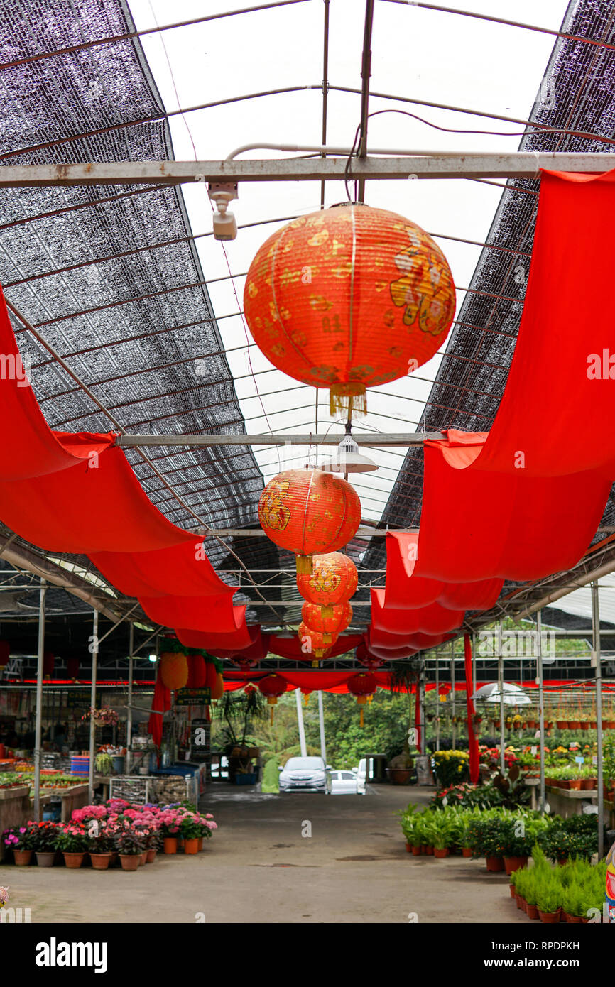 close up Beautiful traditional Chinese Lantern lamp background in red ...