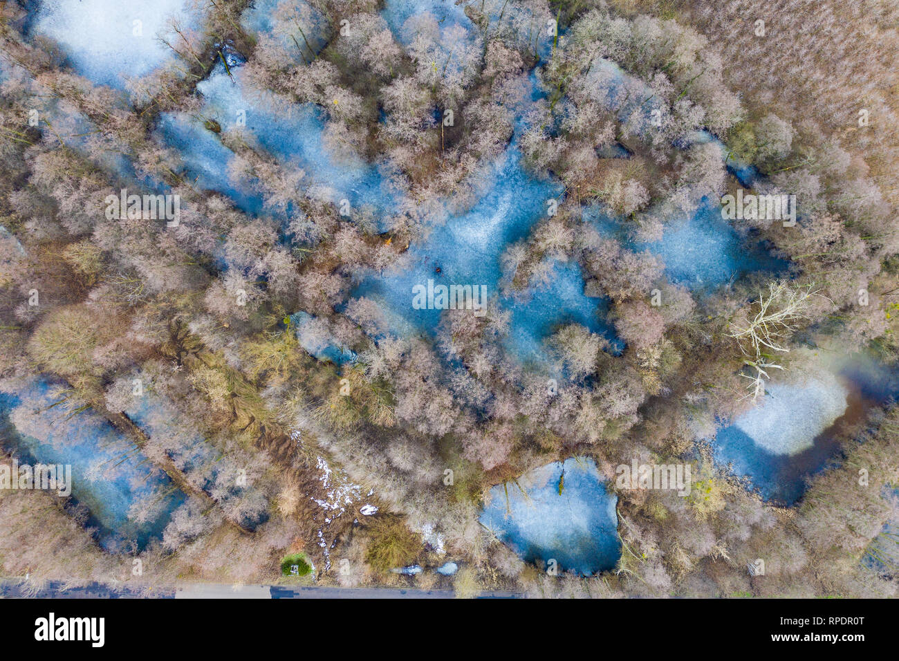 top view for frozen water reservoirs and trees. winter time Stock Photo ...