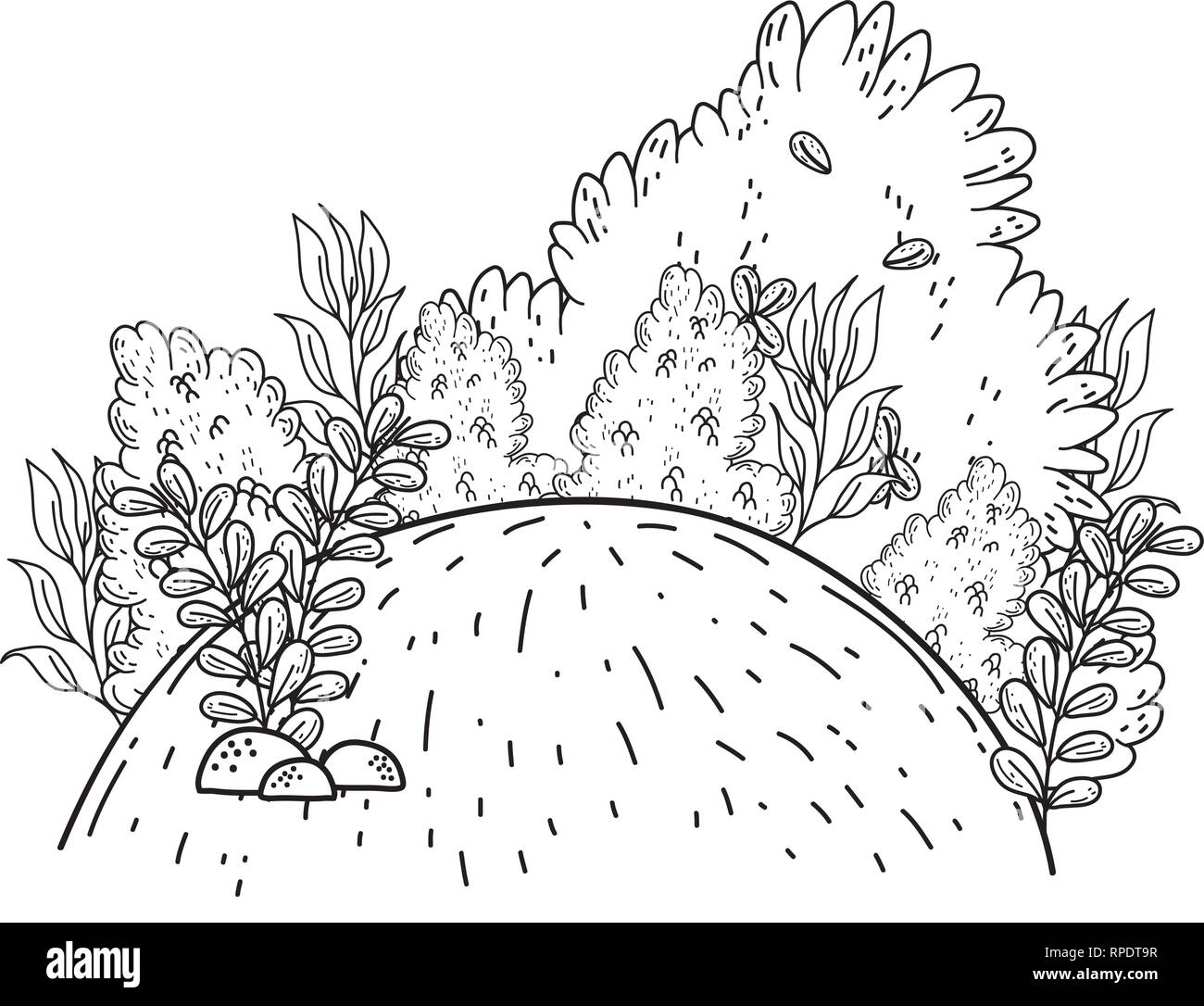 beautiful garden bush landscape scene Stock Vector Image & Art - Alamy