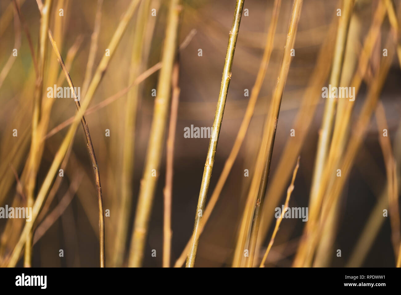 Lean river hi-res stock photography and images - Alamy