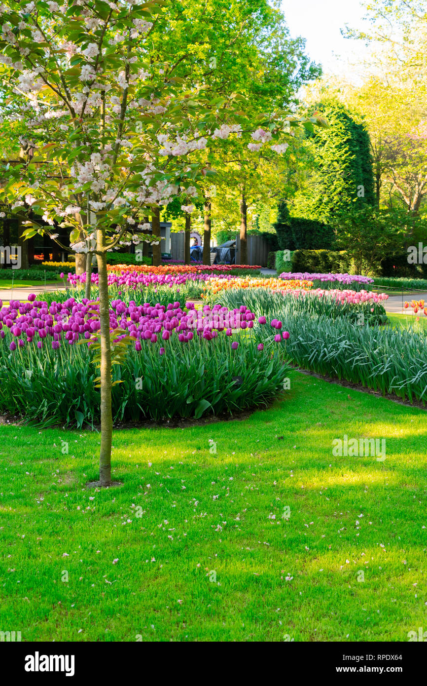 Formal spring garden Stock Photo - Alamy