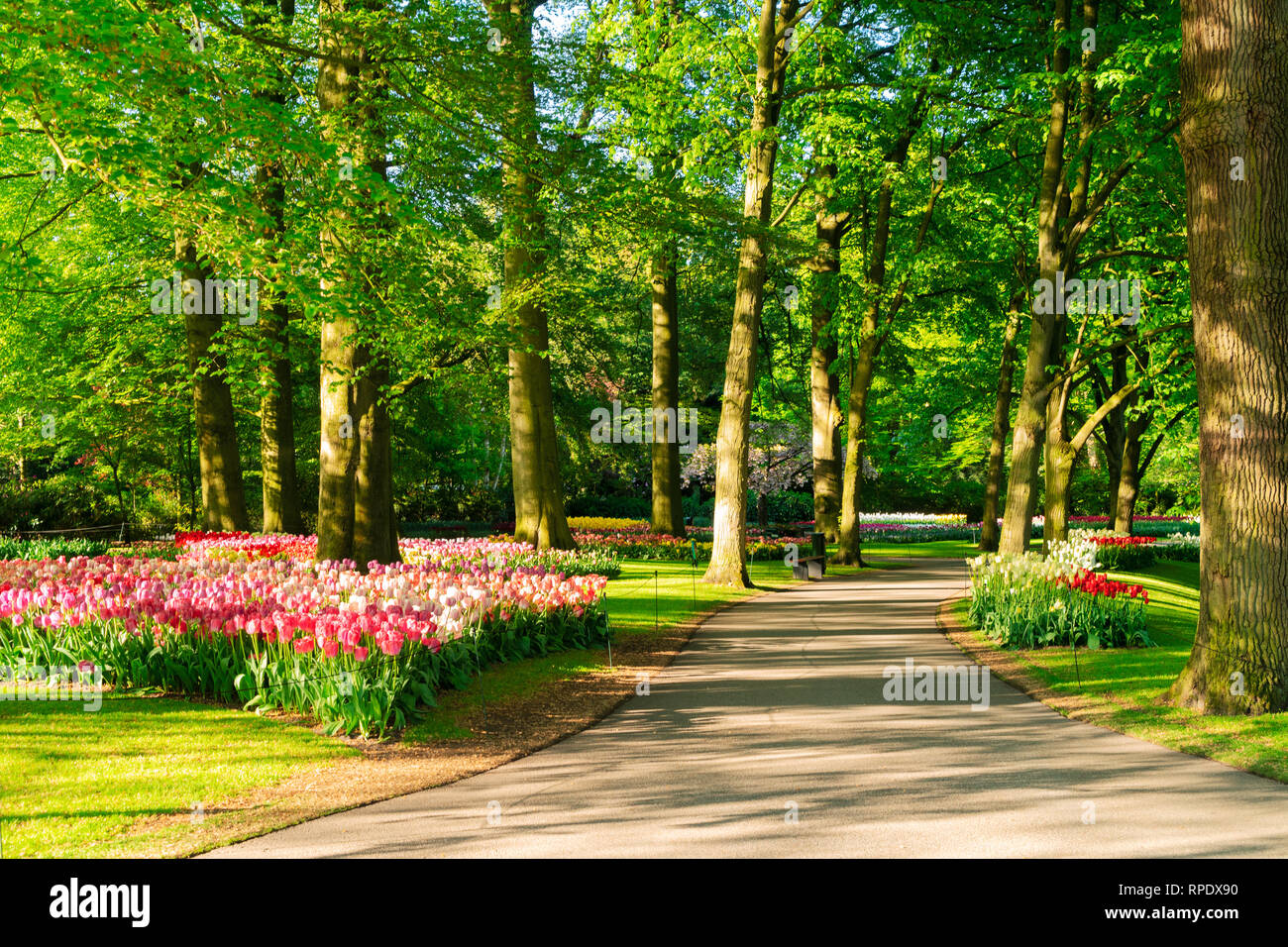 Formal spring garden Stock Photo - Alamy