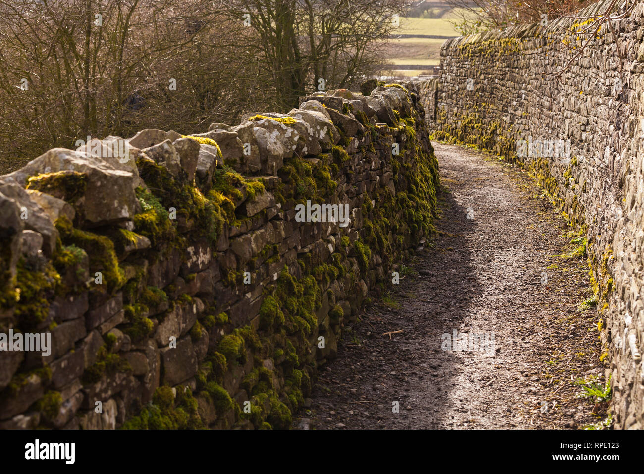Moss covered stone hi-res stock photography and images - Alamy