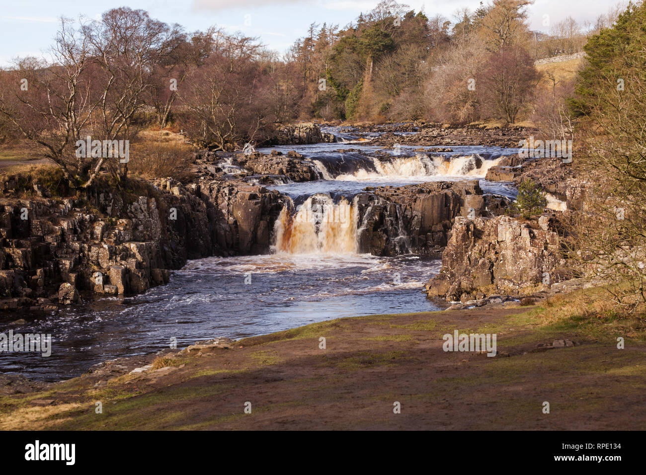 The waterfalls at Low Force,Teesdale,England,UK Stock Photo - Alamy