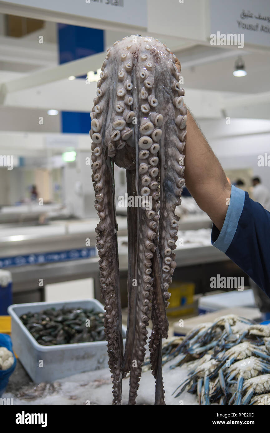 Fresh fish for sale at the modern fish market located in Dubai Stock ...