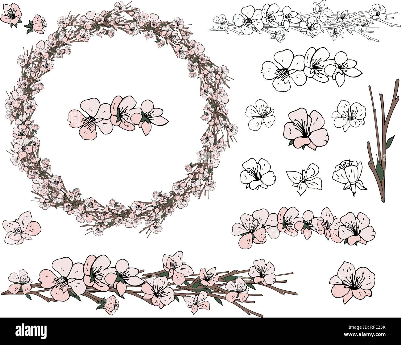 Pink apple blossom on Stock Vector Images - Alamy