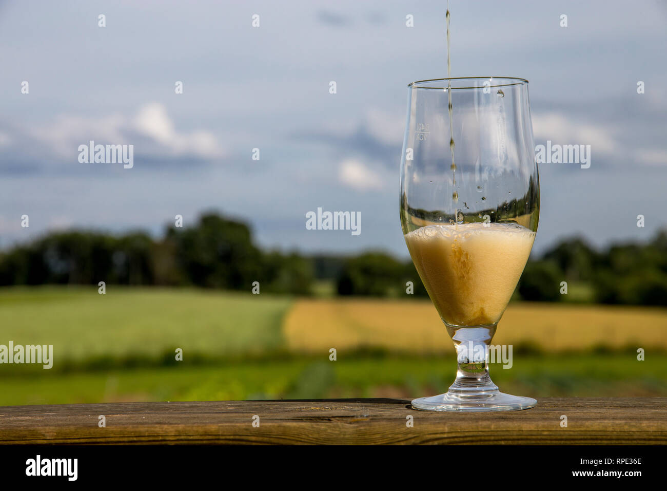 Glass of light beer with foam and bubbles on wooden table on summer ...