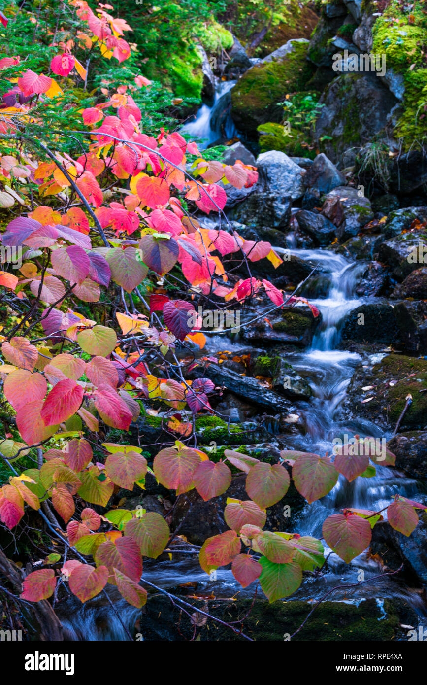 water fall mt Washington Stock Photo - Alamy