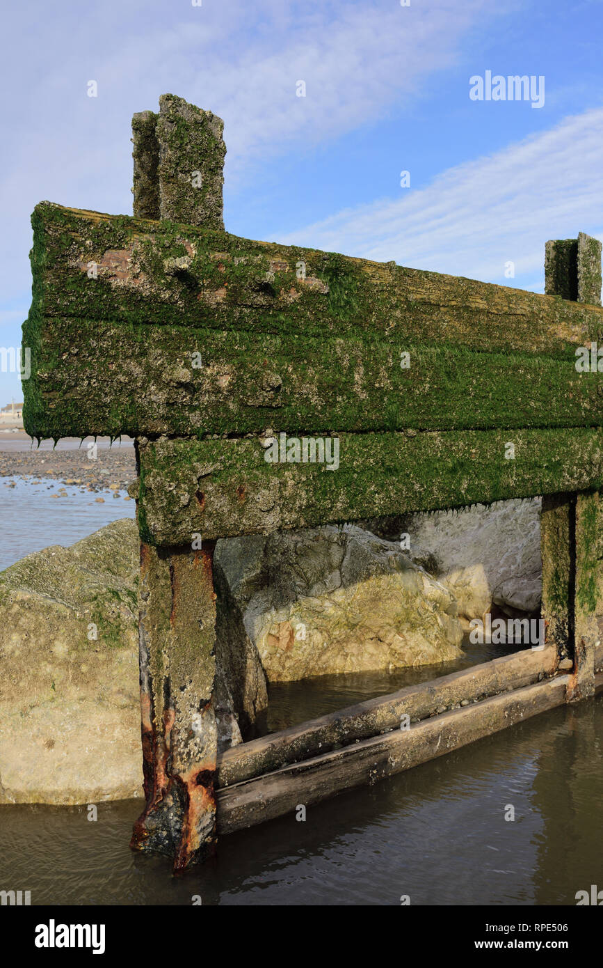 Exposed wooden beach posts hi-res stock photography and images - Alamy