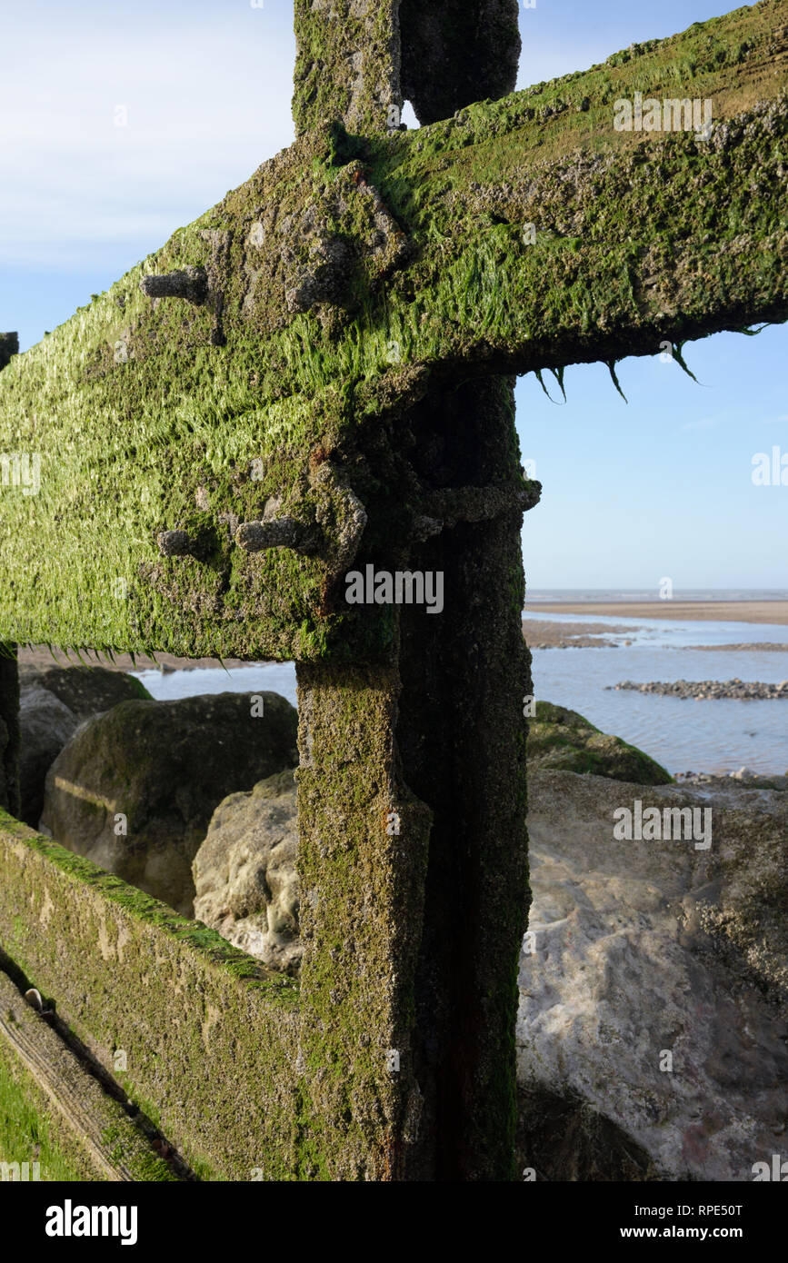 Timber groyne planking hi-res stock photography and images - Alamy