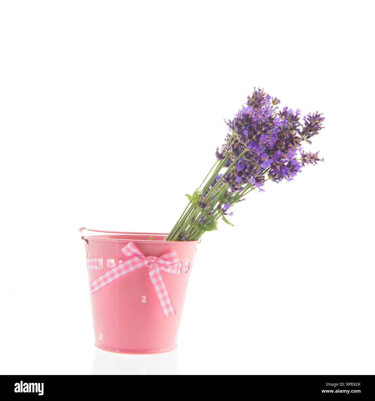 Bouquet purple Lavender in little bucket isolated over white background ...