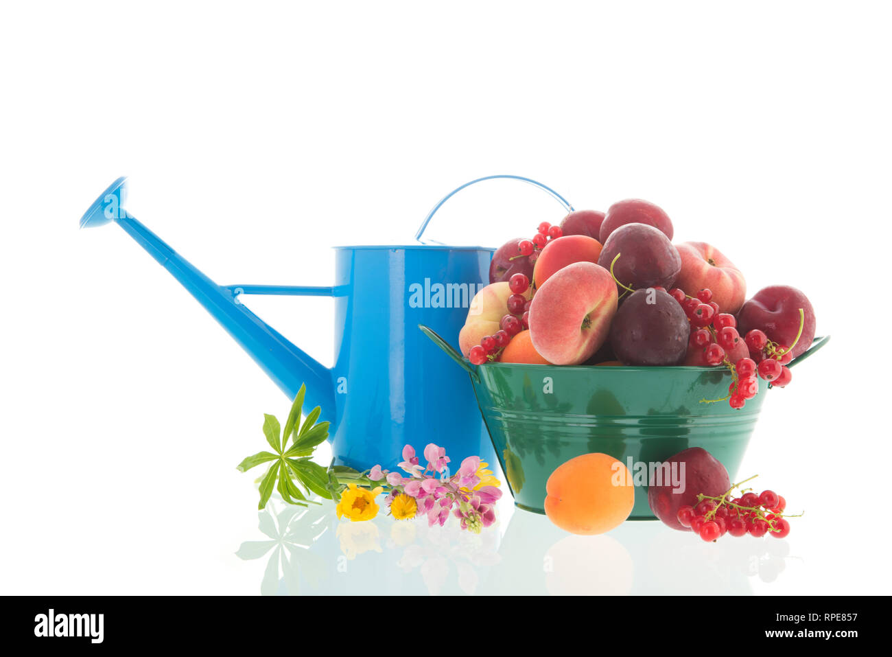 Green bucket full with fresh fruit isolated over white background Stock ...