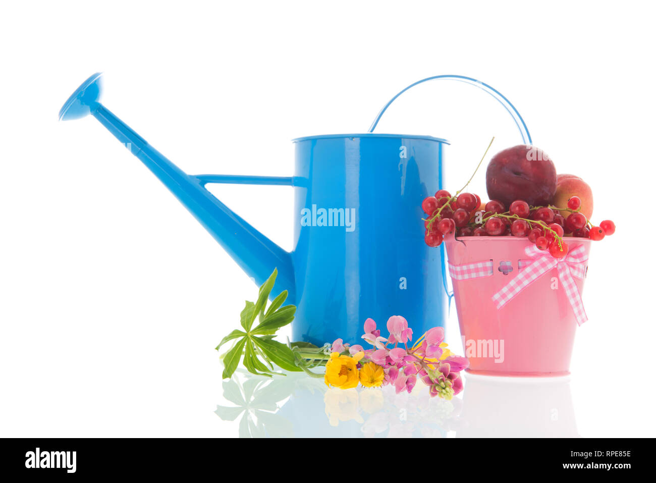 Pink bucket full with fresh fruit isolated over white background Stock ...