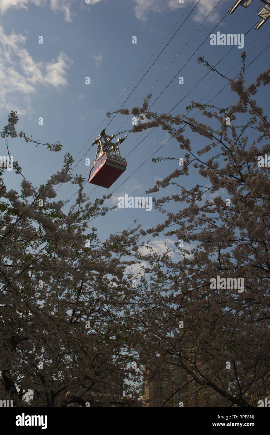 Aerial tram tower hi-res stock photography and images - Alamy