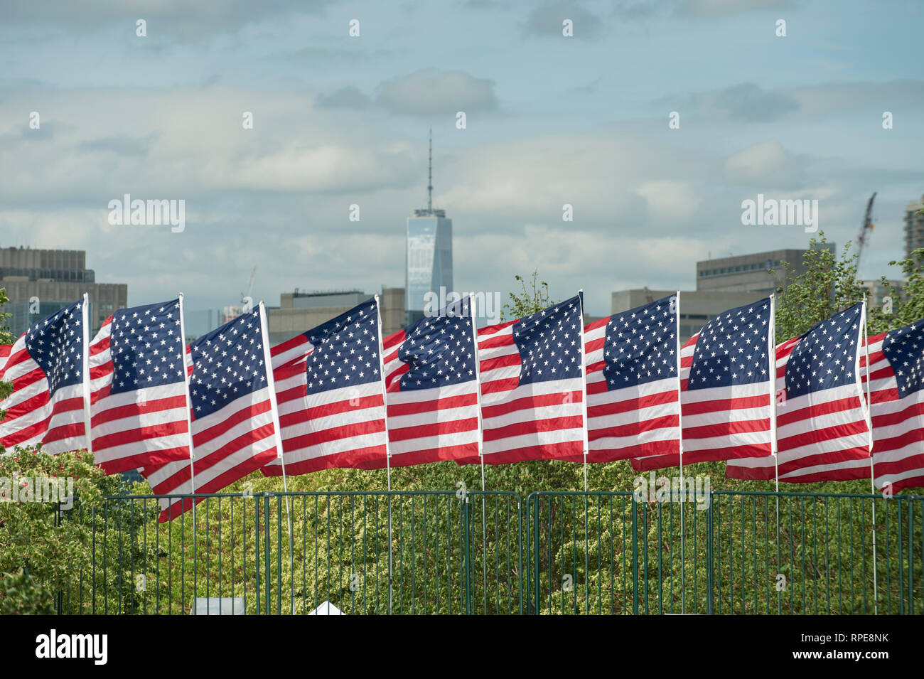 American flags at political rally Stock Photo - Alamy