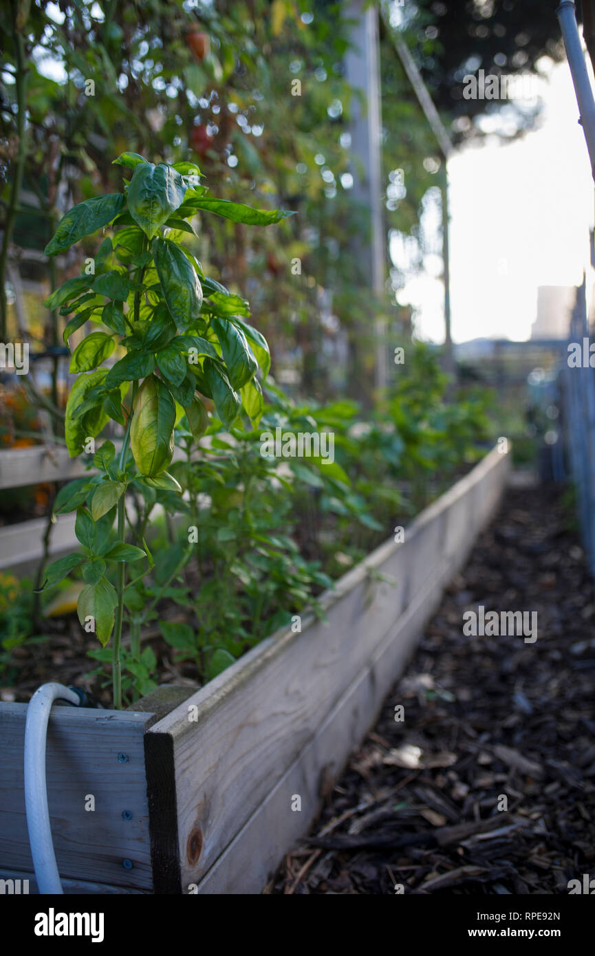 Individual plot hi-res stock photography and images - Alamy