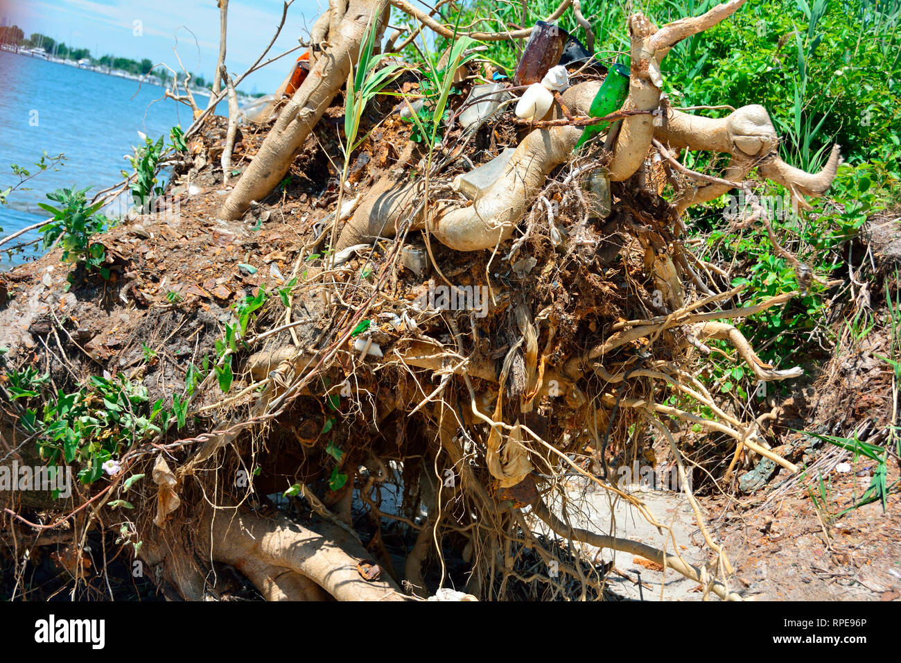 Storm surge showing beach erosion after hurricane Sandy Stock Photo - Alamy