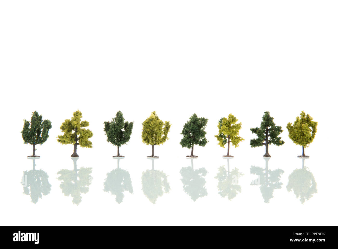 Miniature trees in row isolated over white background Stock Photo - Alamy