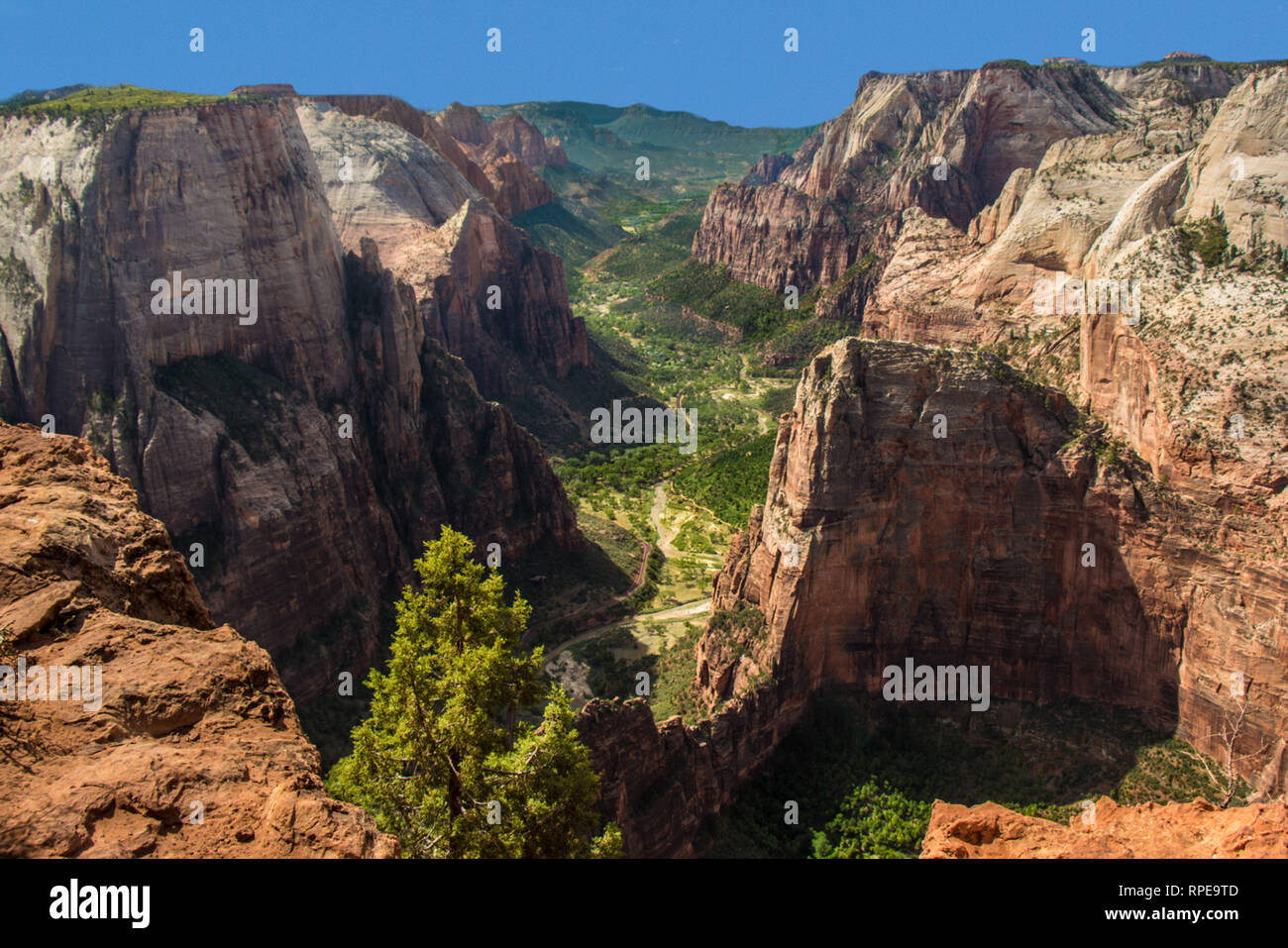 Zion observation point hi-res stock photography and images - Alamy