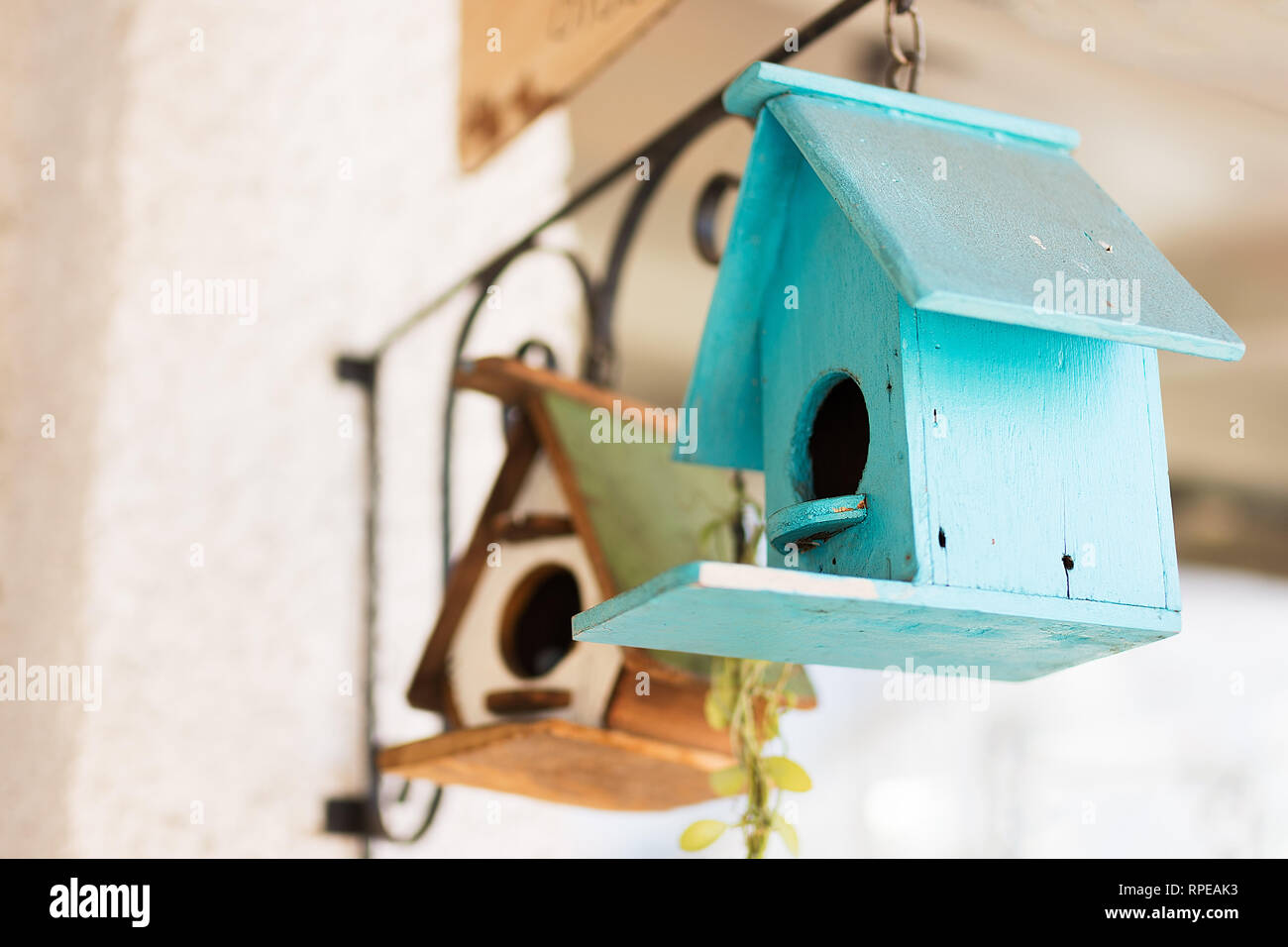Blue bird cage hi-res stock photography and images - Alamy