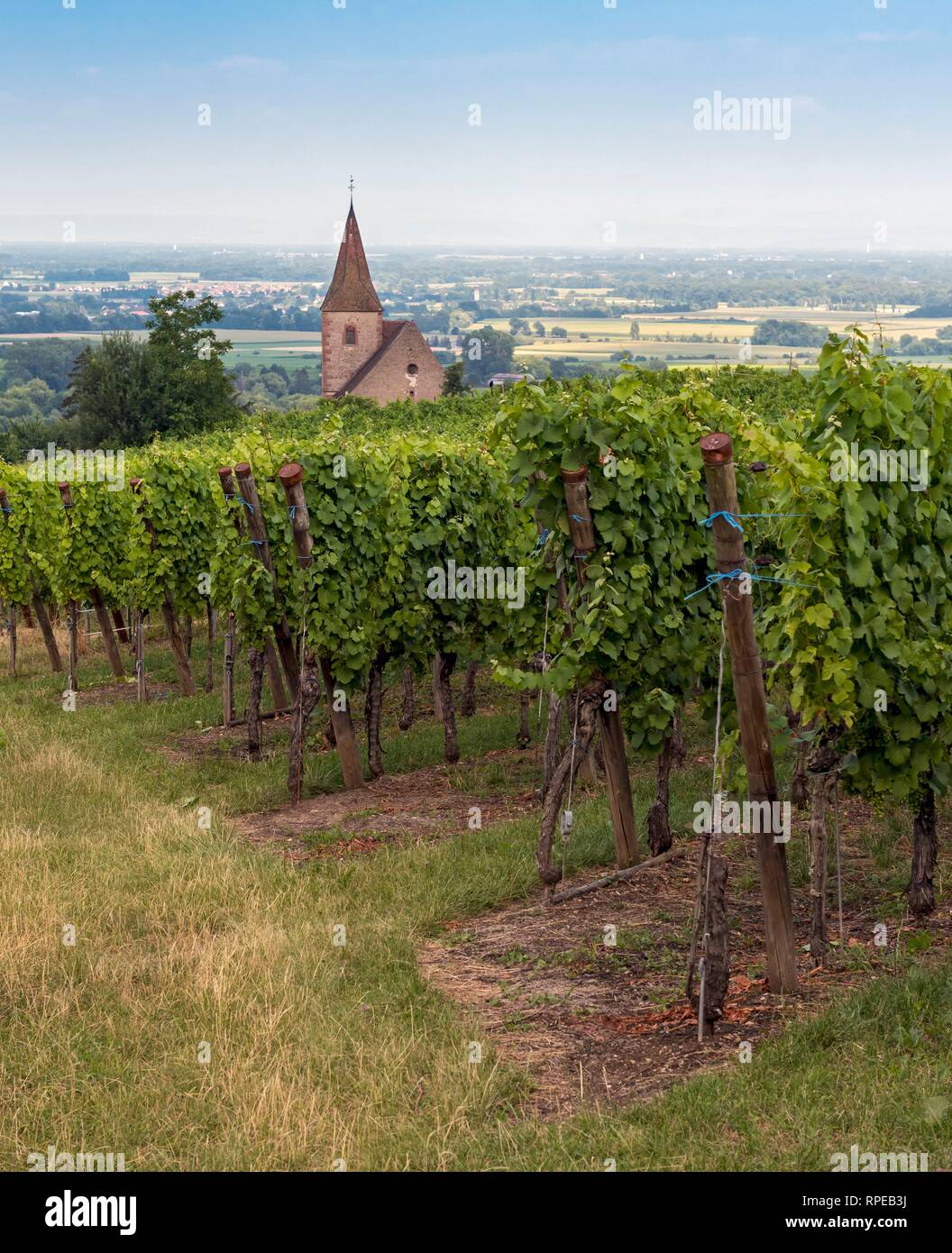 Alsace wine route france hi-res stock photography and images - Alamy