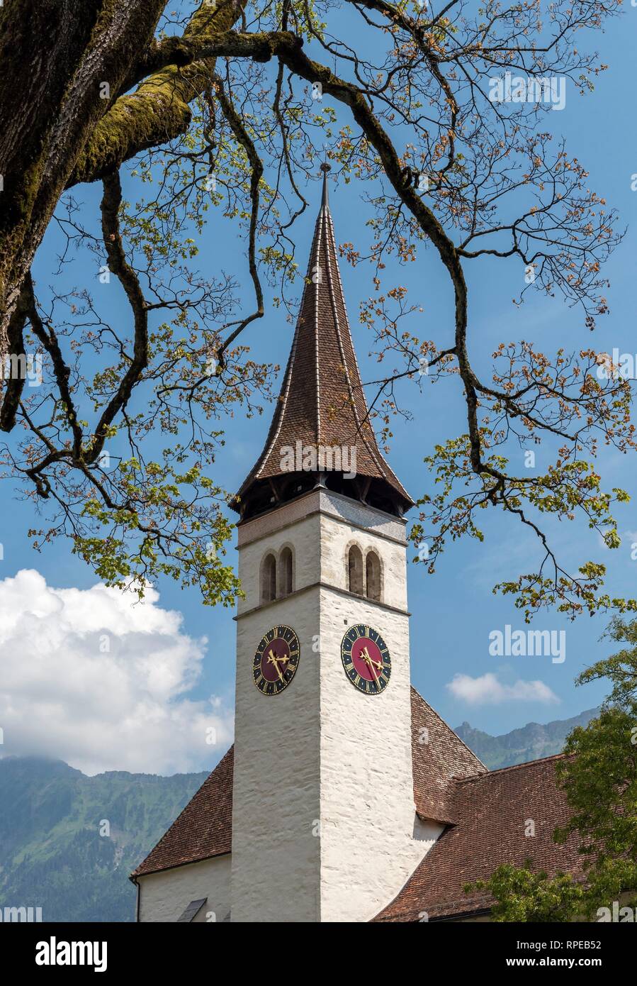 Protestant church, Schlosskirche, in Interlaken, Switzerland Stock ...