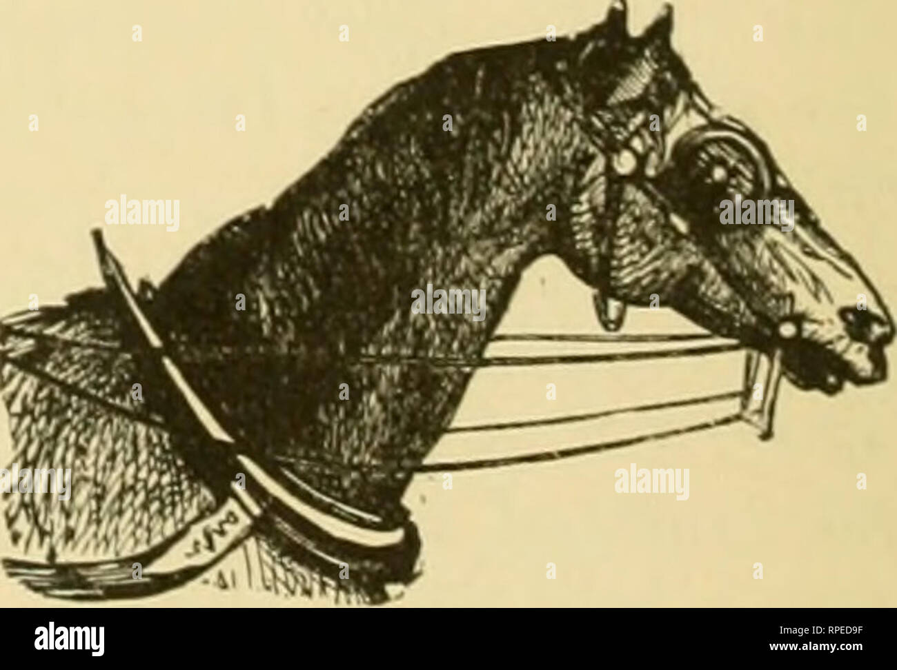 . The American farmer's pictorial cyclopedia of live stock ...