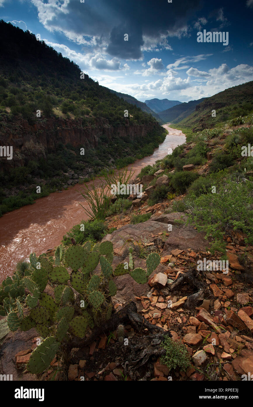Salt River Canyon Stock Photo - Alamy