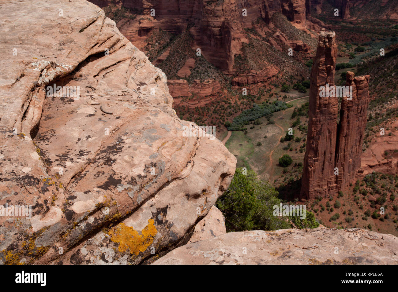 Spider rocks hi-res stock photography and images - Alamy