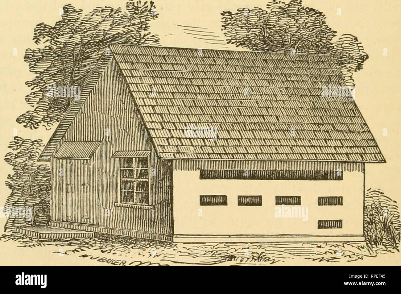 Bee house plan hi-res stock photography and images - Alamy