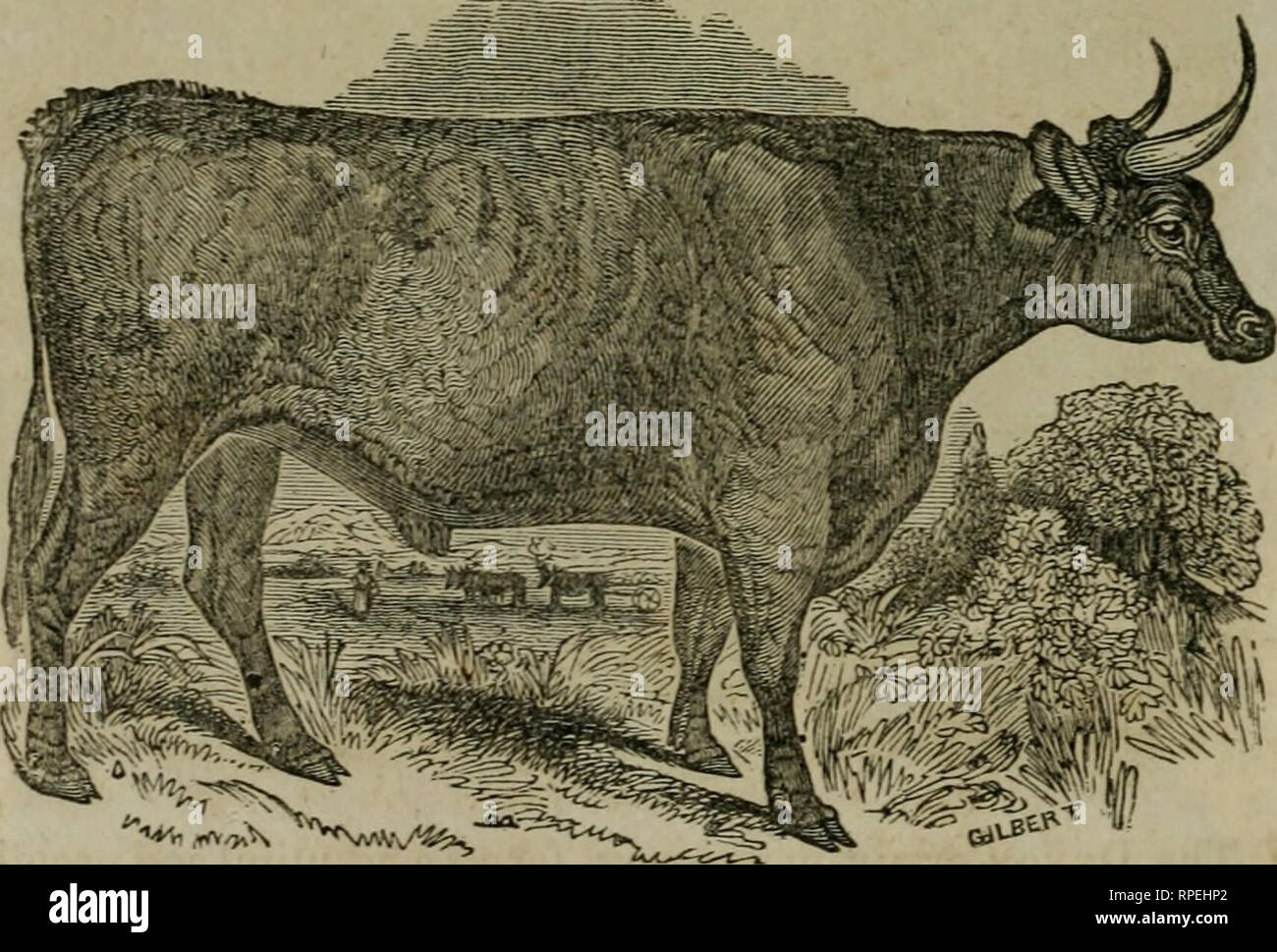 . The American farmer's instructor, or, practical agriculturist ...